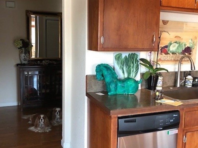 Chef's Riverside Kitchen - Remodel - Tina's Interior Design Resources